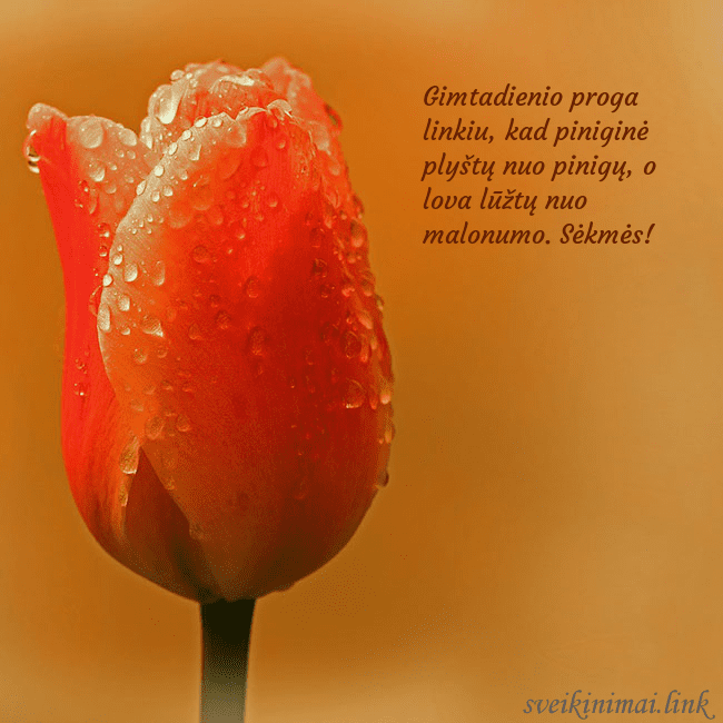Gimtadienio sveikinimai